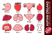 Cute human organs set, an Education Illustration by SVTdesign ...