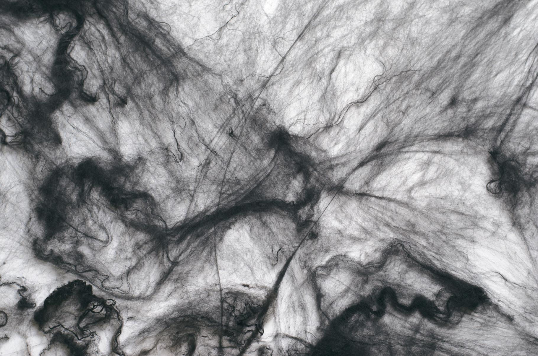 Black Cobweb Texture, Dark Web Hallo, an Abstract Photo by Julie208