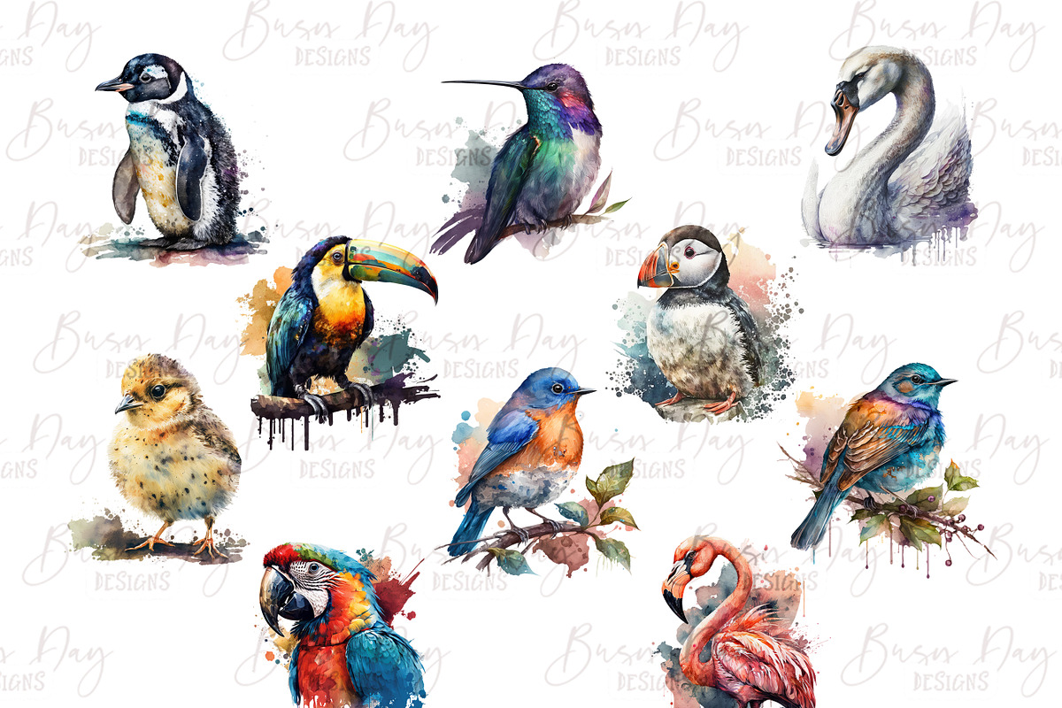 Watercolor Birds Clipart Bundle, an Animal Illustration by ...