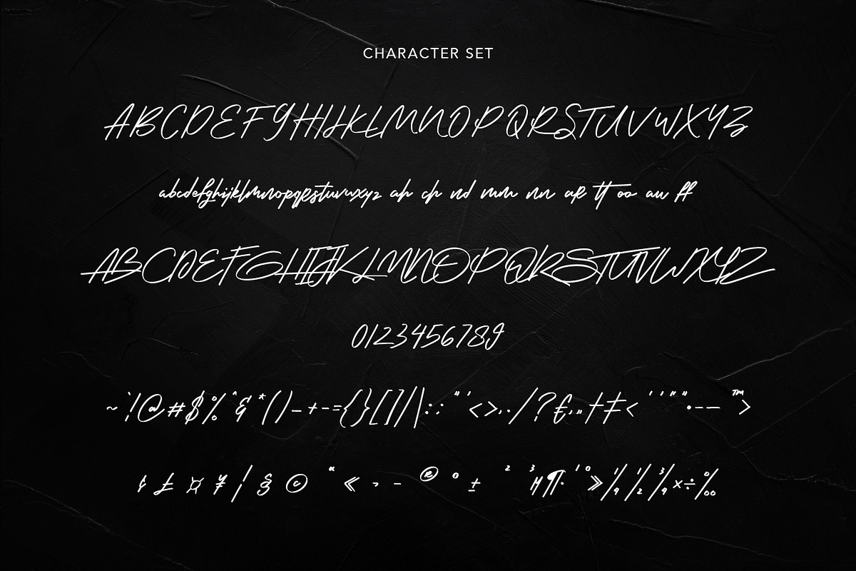 Ryland Heights Signature Script Font, a Script Font by Maulana Creative