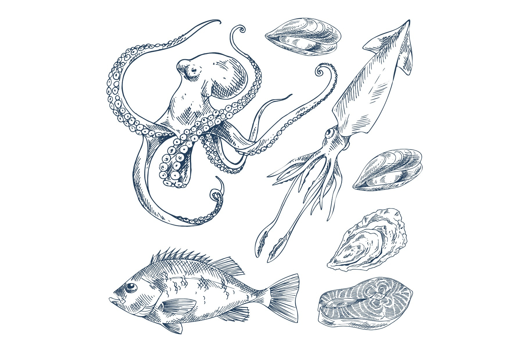 Fish and Marine Creatures as Seafood, an Animal Illustration by robuart