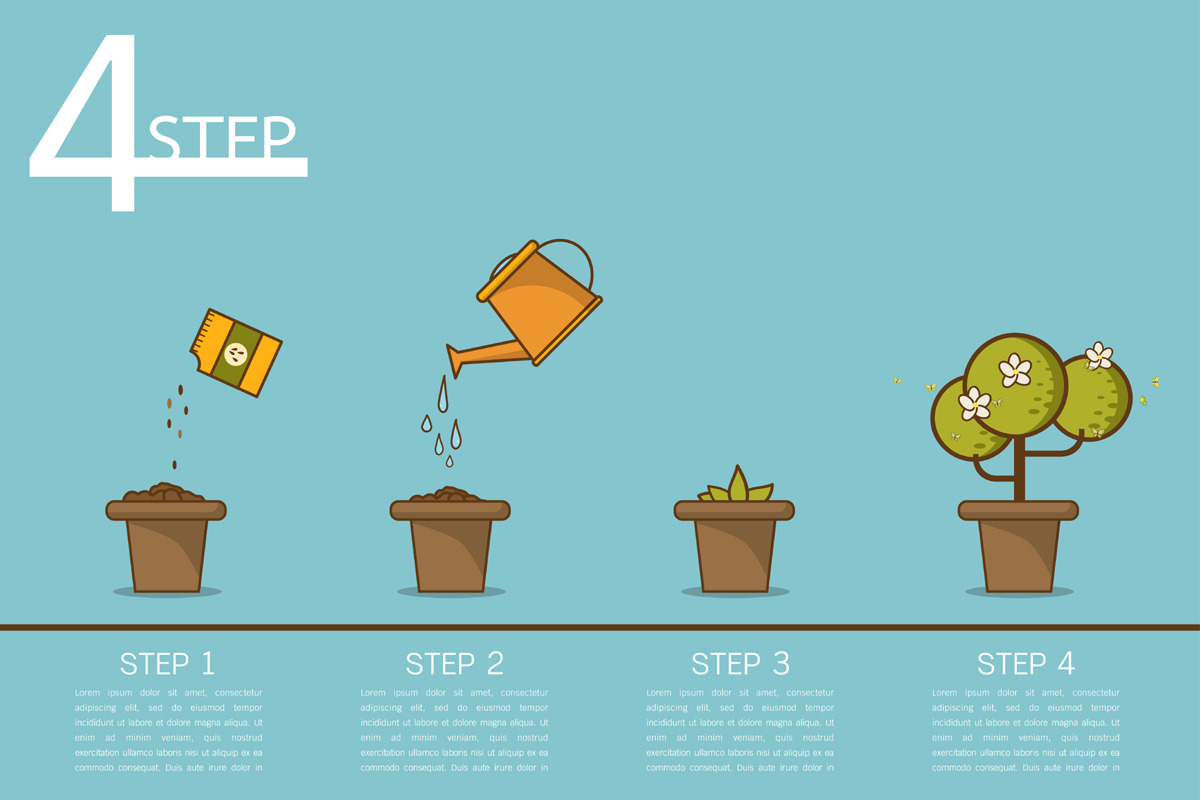 Plant growing step vector, a Work Illustration by essense