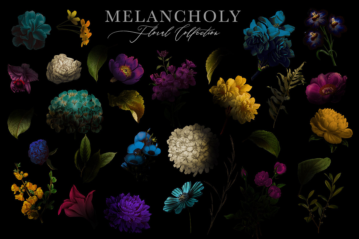 Melancholy Floral Collection, an Illustration by Eclectic Anthology