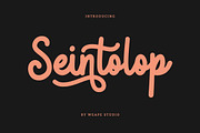 Seintolop, a Script Font by Weape Studio