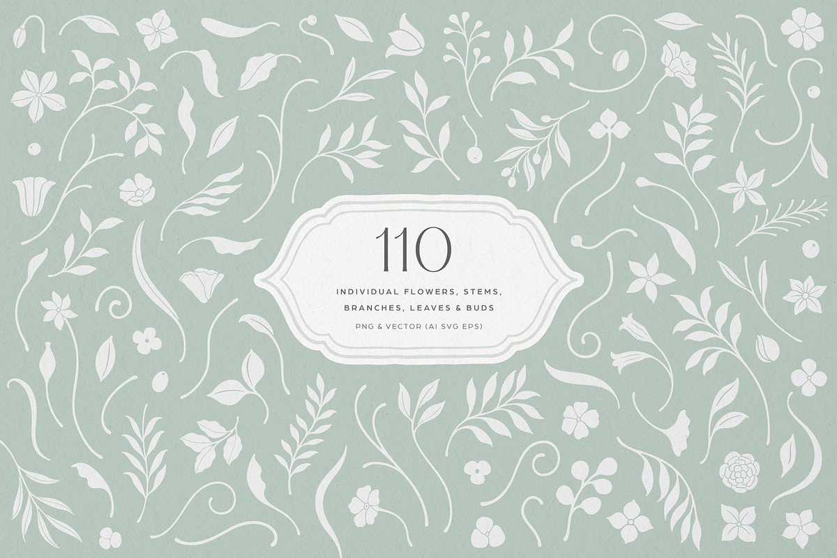 Florish Decorative Vector Collection, an Object Graphic by rouxsupplyco