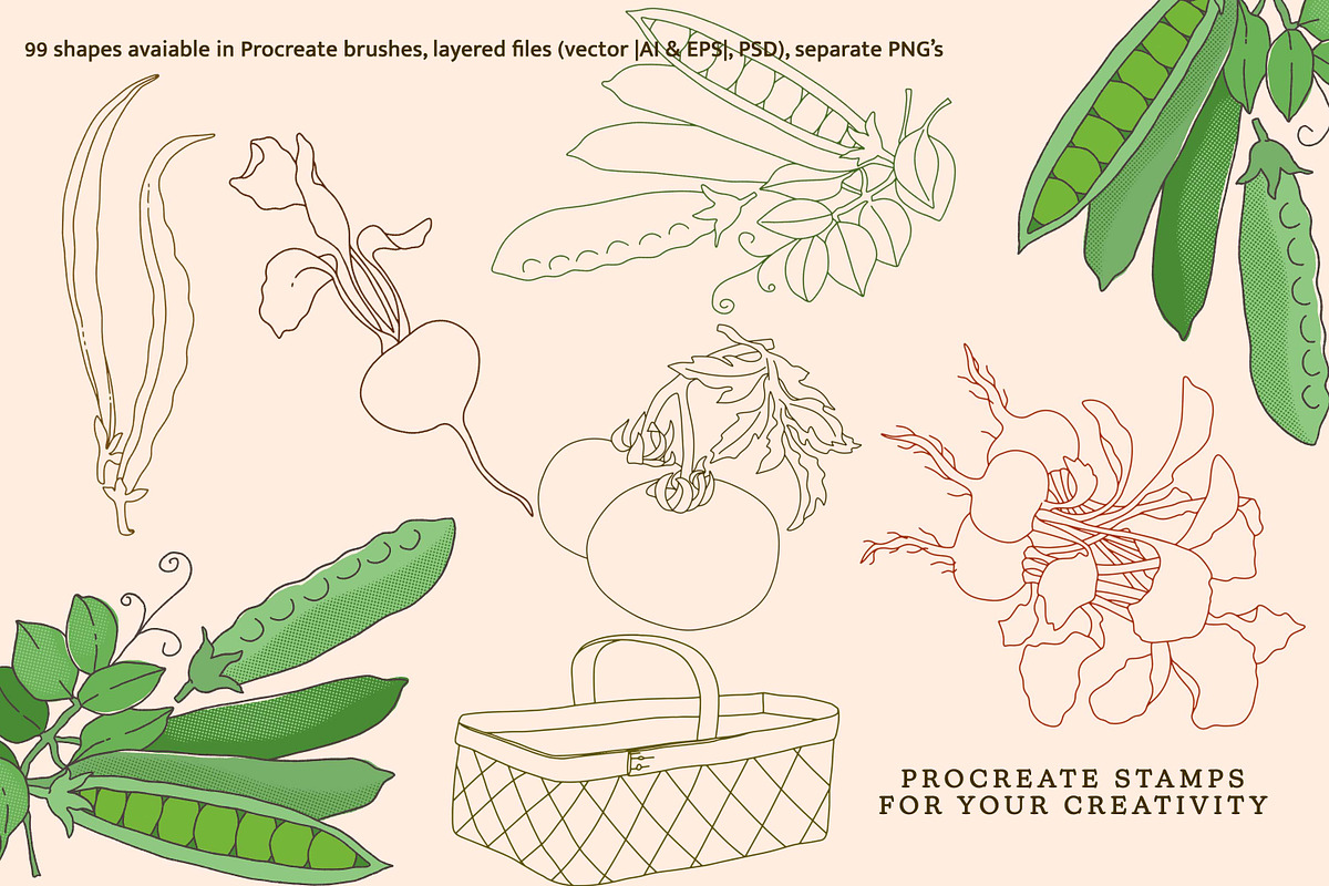 Fruit & Veggies Procreate Stamps | Creative Market