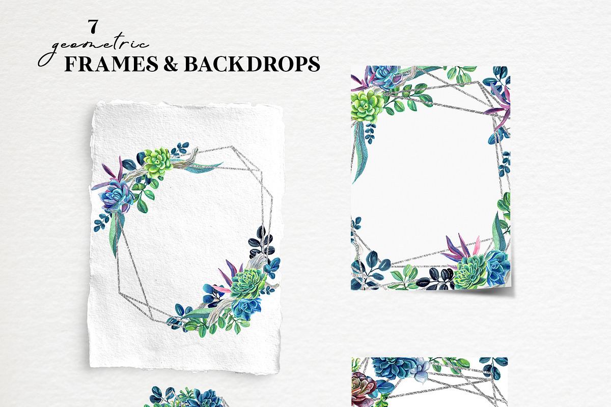 Succulents Watercolor Collection, an Illustration by SunnyAfternoons