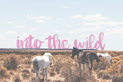 The Willow Script, a Script Font by Salt & Pepper Designs