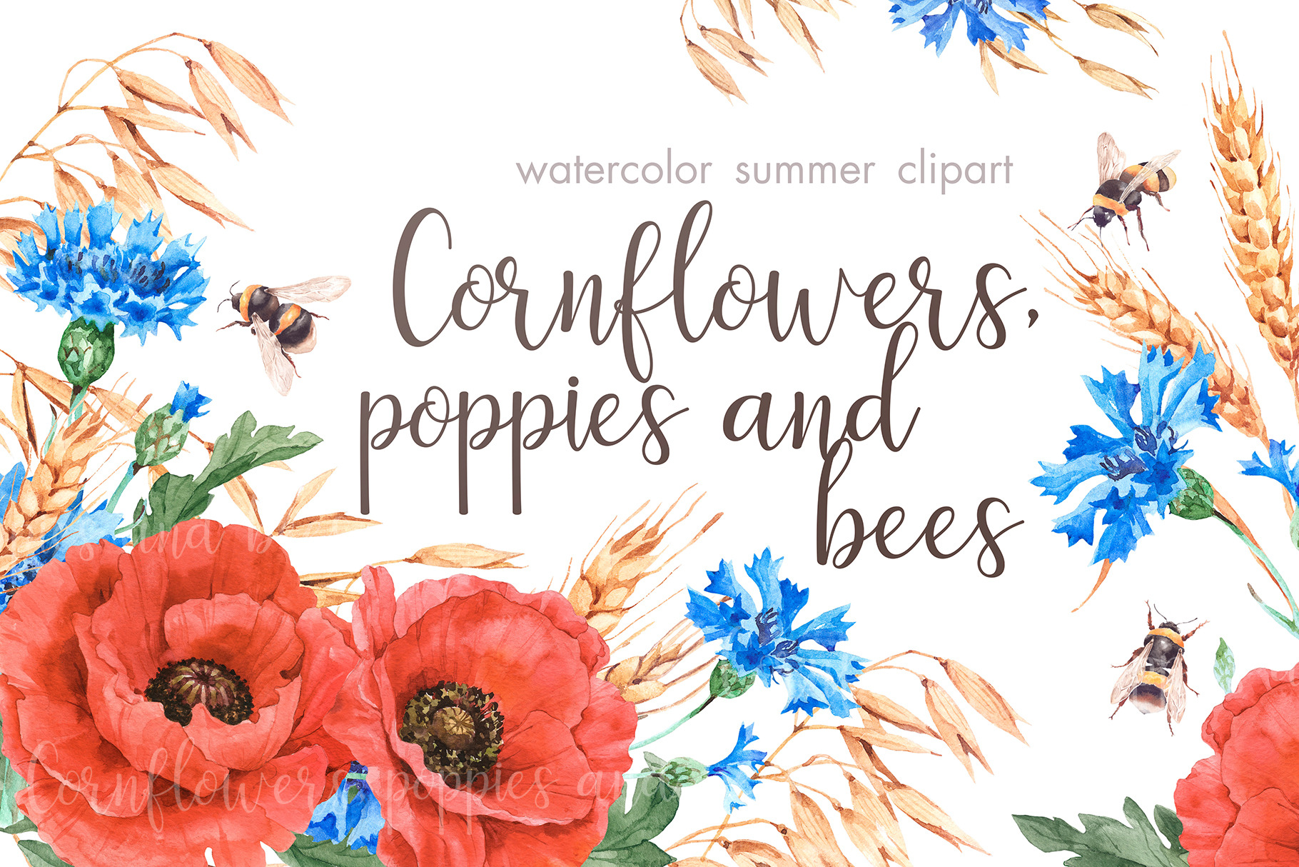 Watercolor poppies, cornflowers set, an Illustration by Alamella