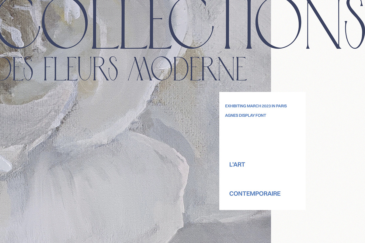 Agnes Modern Display Font, a Serif Font by Laras Wonderland