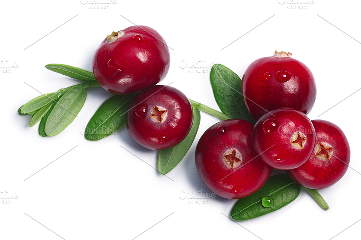 Cranberry, an Object Graphic by Hortimages
