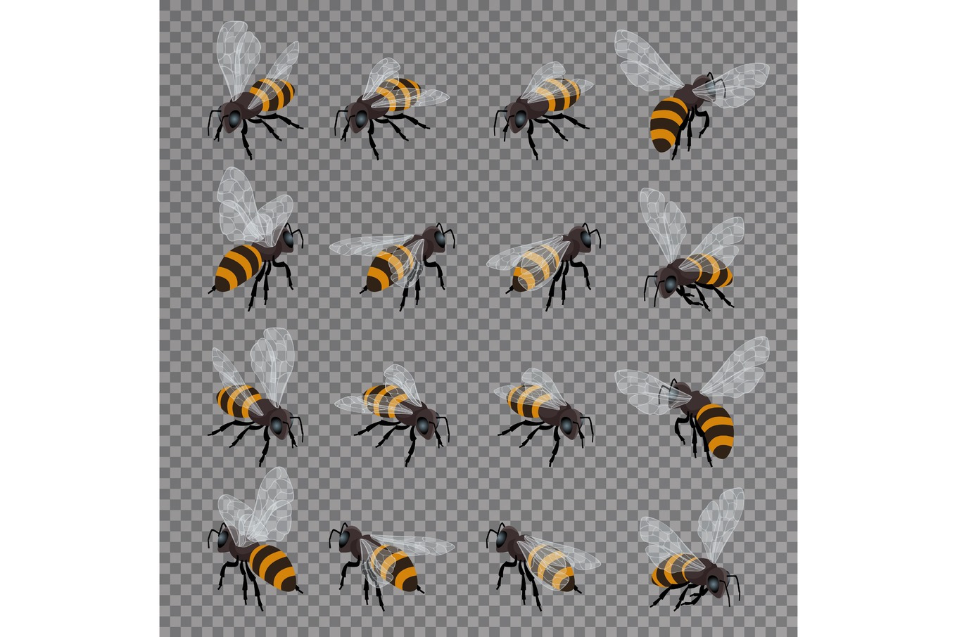 Honey bee vector set on a transparent background., an Animal ...