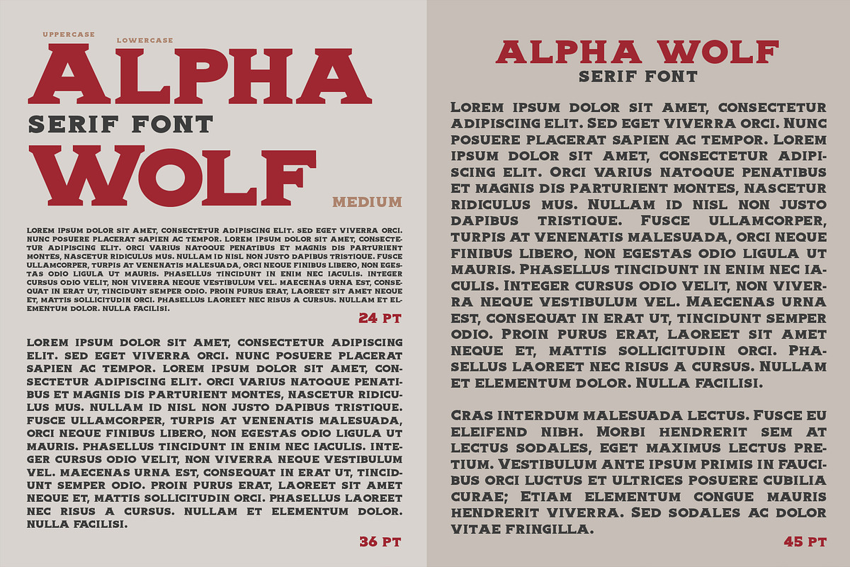 Alpha wolf - Serif font, a Serif Font by Artistic & Unique
