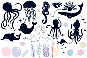 Sea Space collection | Animal Illustrations ~ Creative Market