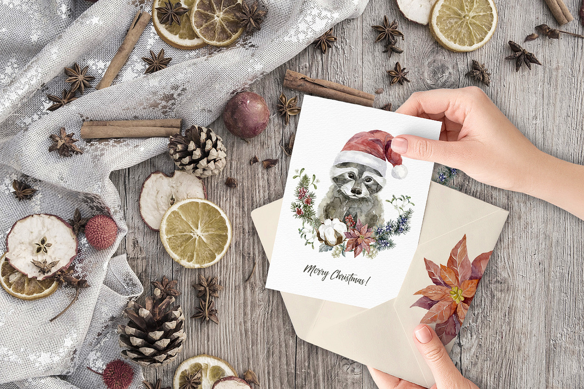 Forest Animals. Character Creator., an Animal Illustration by Designwork