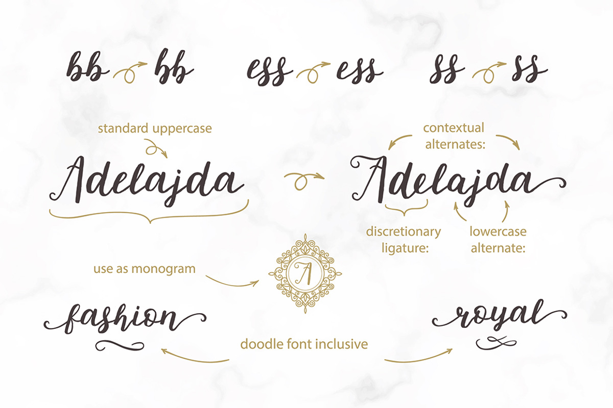 Michelle script with extras, a Script Font by Designwork