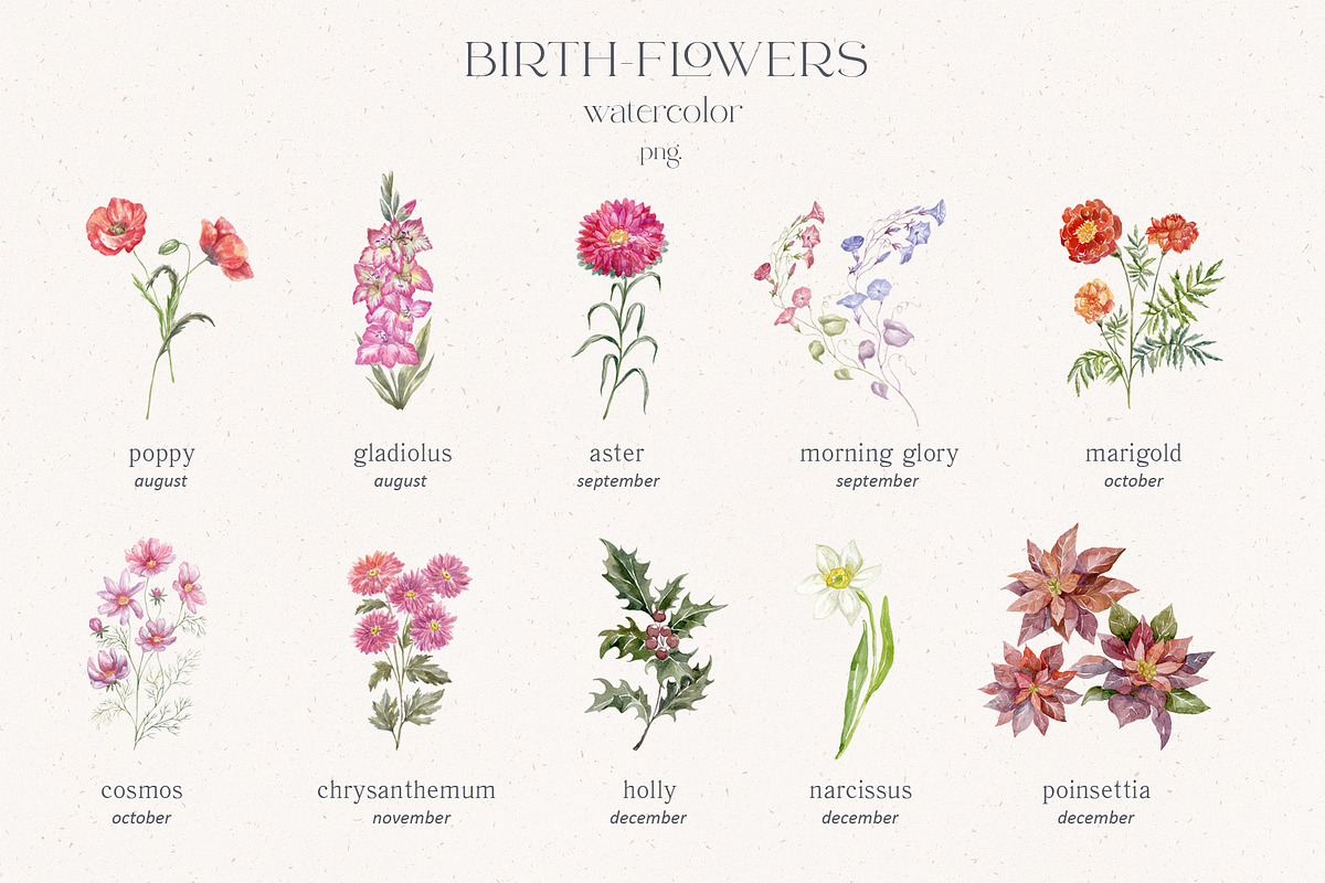 Birth-Flowers. Watercolor & Line Art, a Decorative Illustration by ...