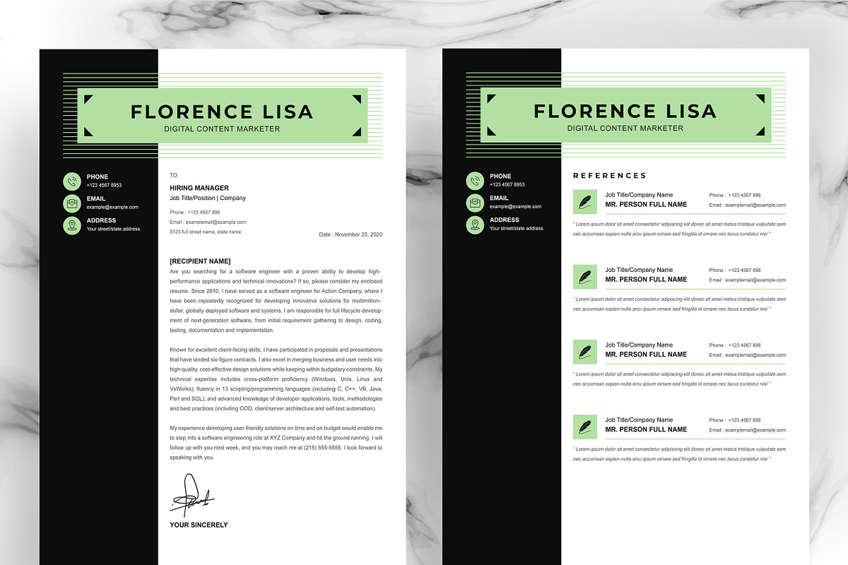 Professional & Modern Resume Formats, a Resume Template by ResumeInventor