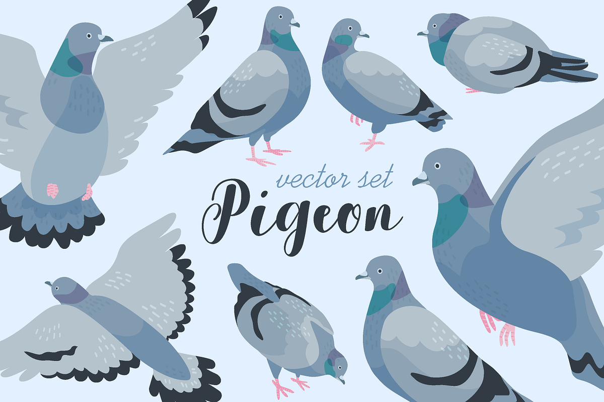 Pigeon set, an Animal Illustration by Good Studio