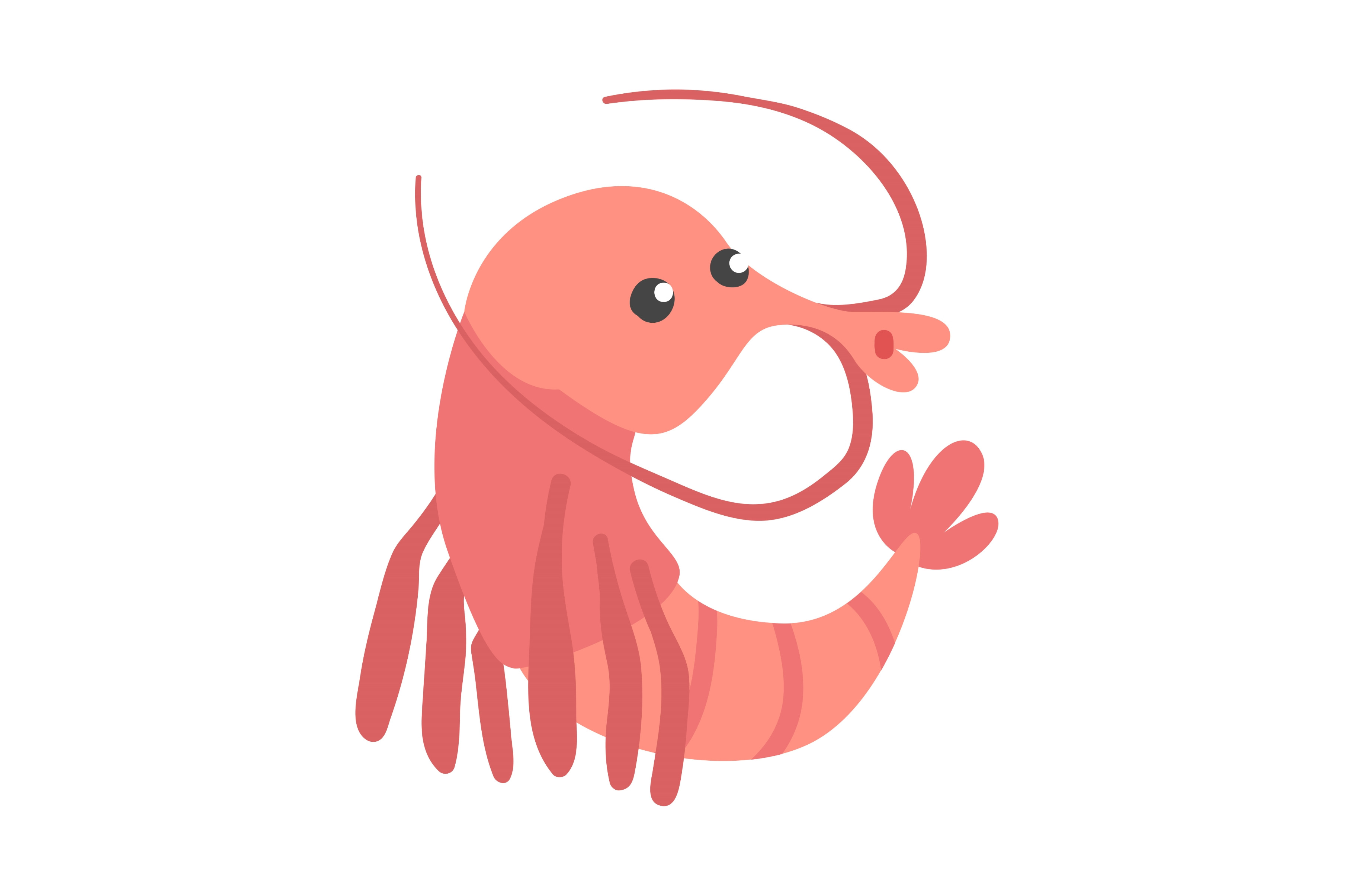 Shrimp Character as Aquatic Mammal | Animal Illustrations ~ Creative Market