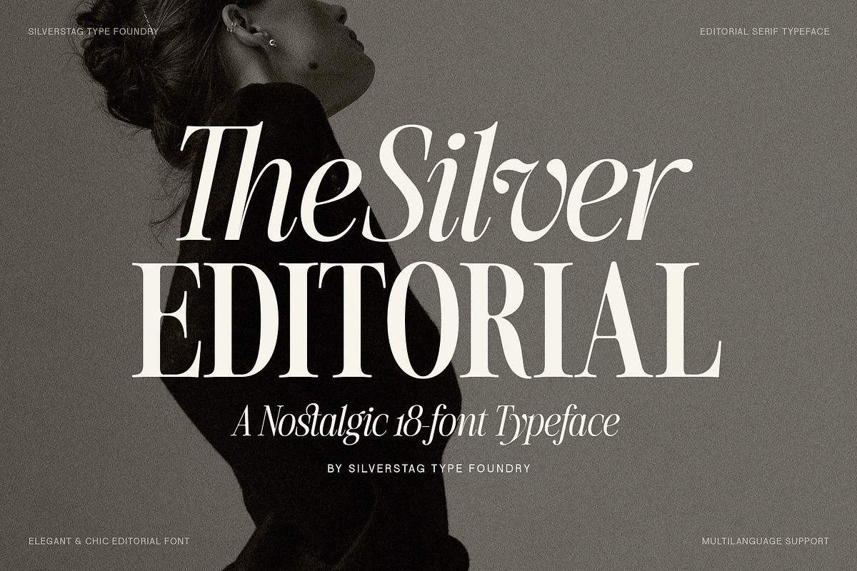 The Silver Editorial - 18 Fonts Pack, a Serif Font by SilverStag Type ...