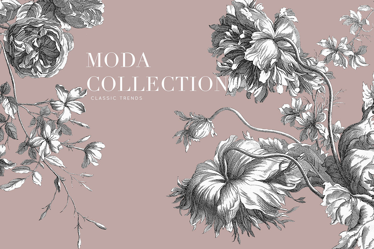 Moda, Pattern designs & Motifs Set!, a Pattern Graphic by TSTUDIO