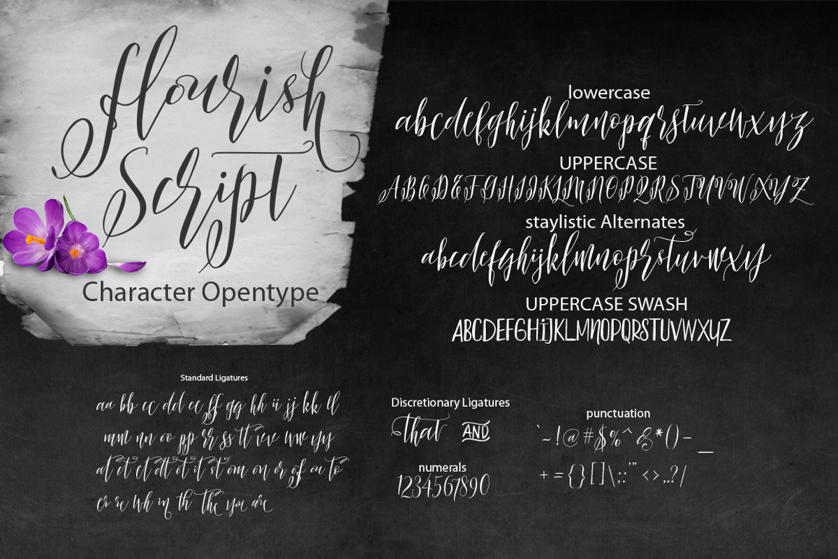 Flourish Script, a Script Font by joelmaker
