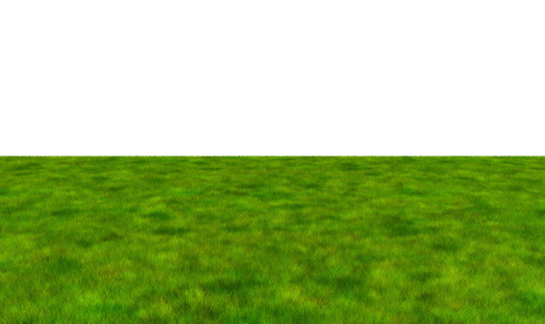 Lush grass field on white background, 3d illustration., a Texture ...
