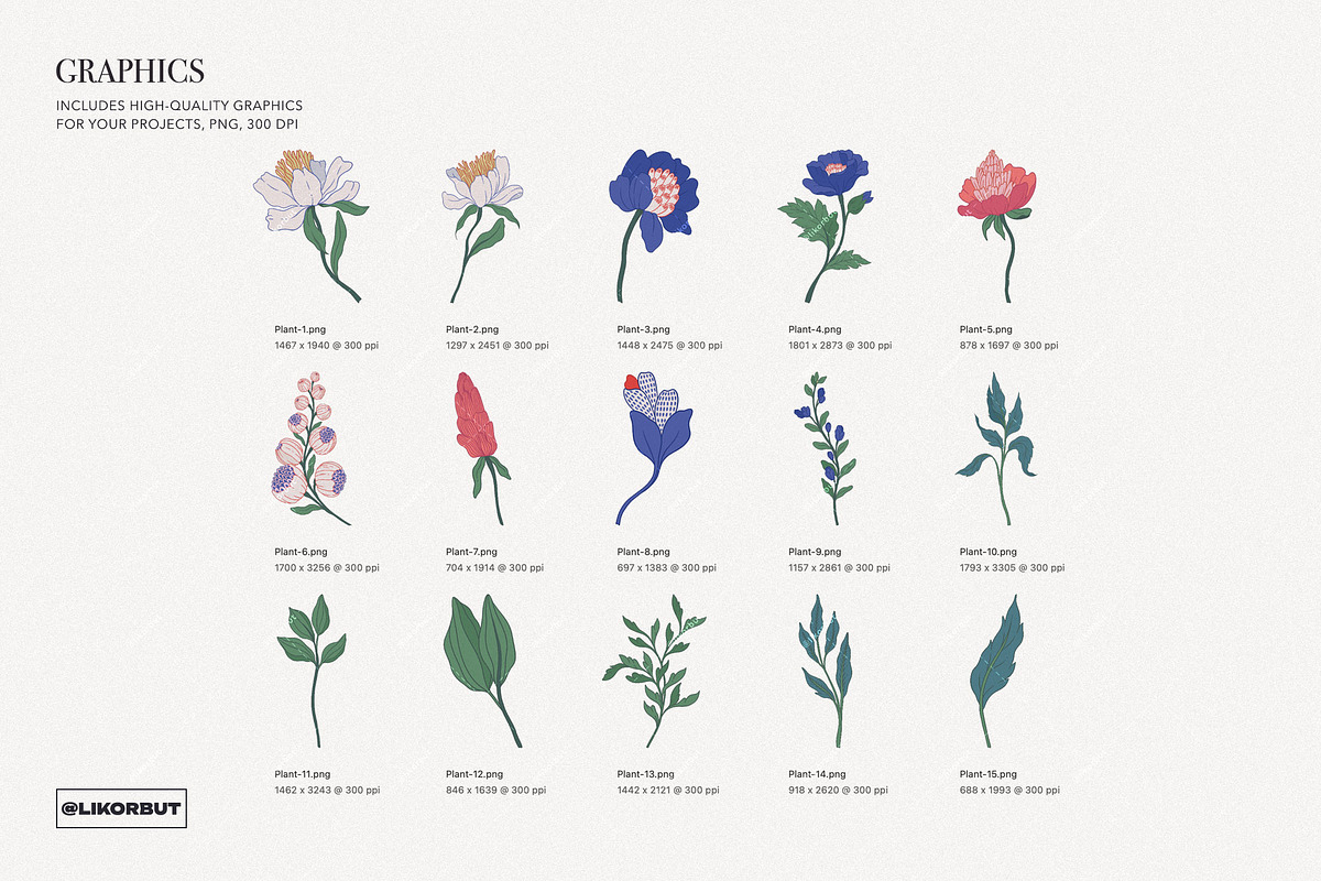 Modern Botanical Pattern and Plants, a Pattern Graphic by likorbut