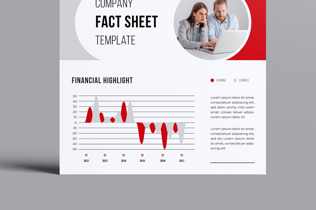 Company Fact Sheet Layout
