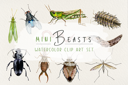 Watercolor Pollinators Set | Illustrations ~ Creative Market