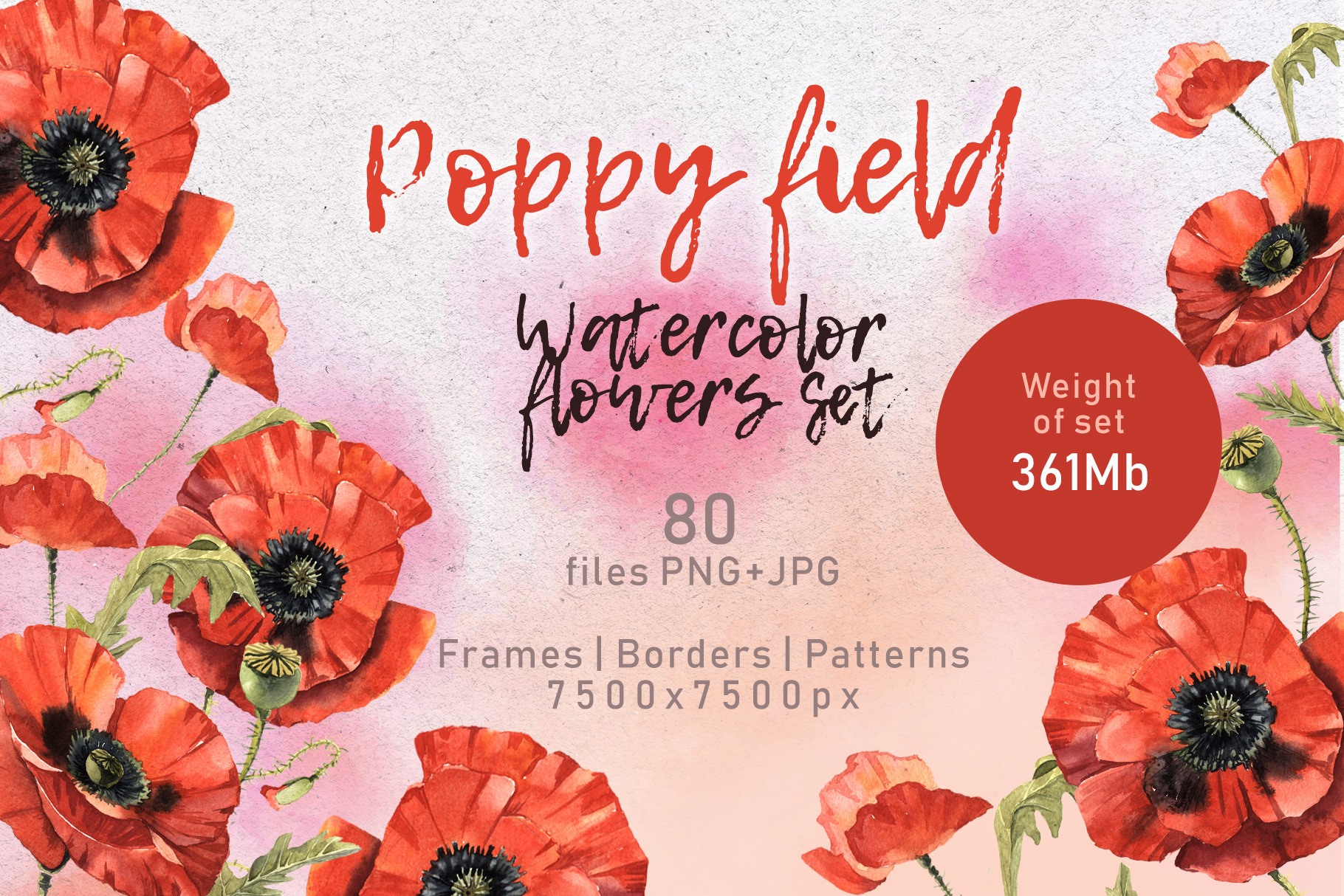 Poppy field PNG watercolor set, a Seasonal Illustration by ...