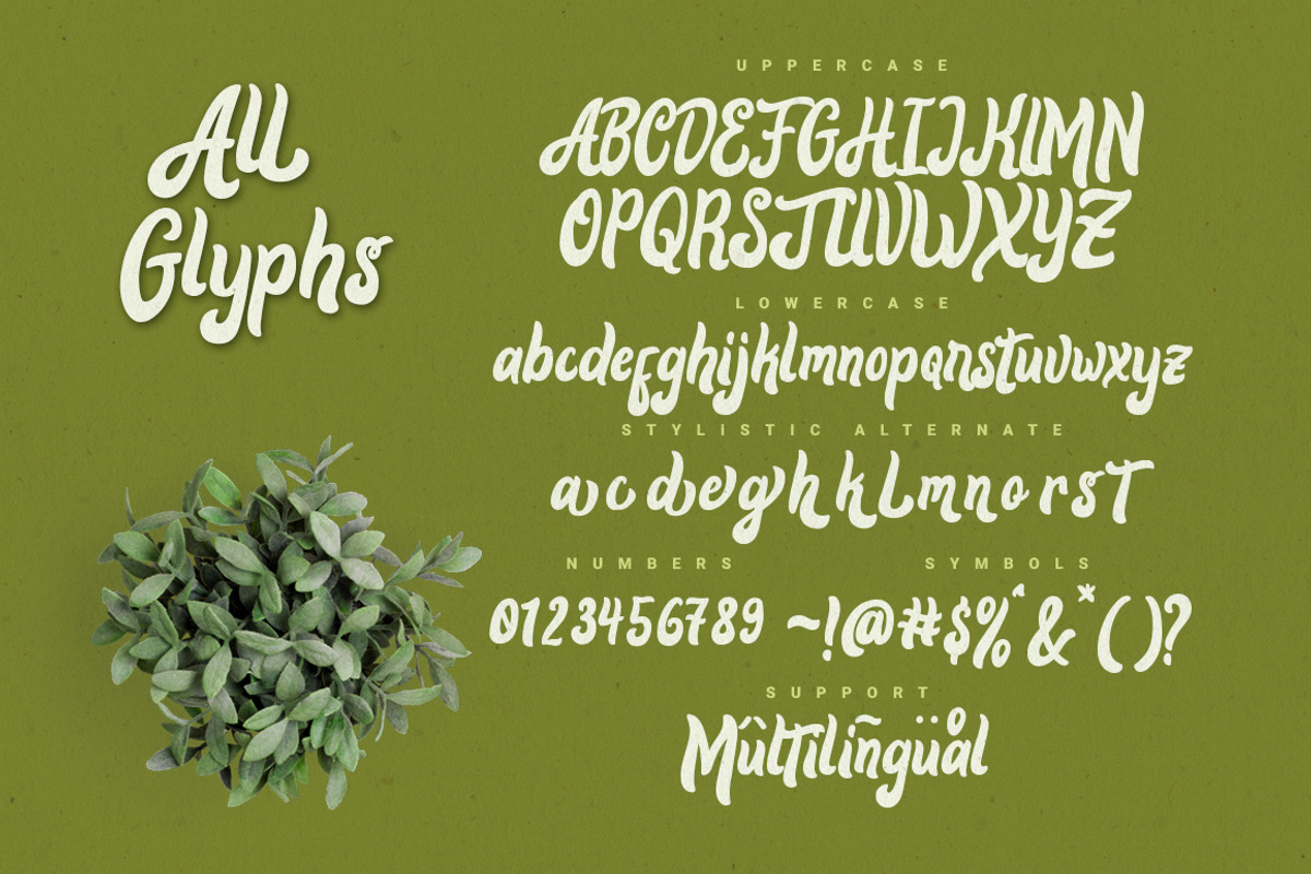 Alora Typeface, a Font by giemons™
