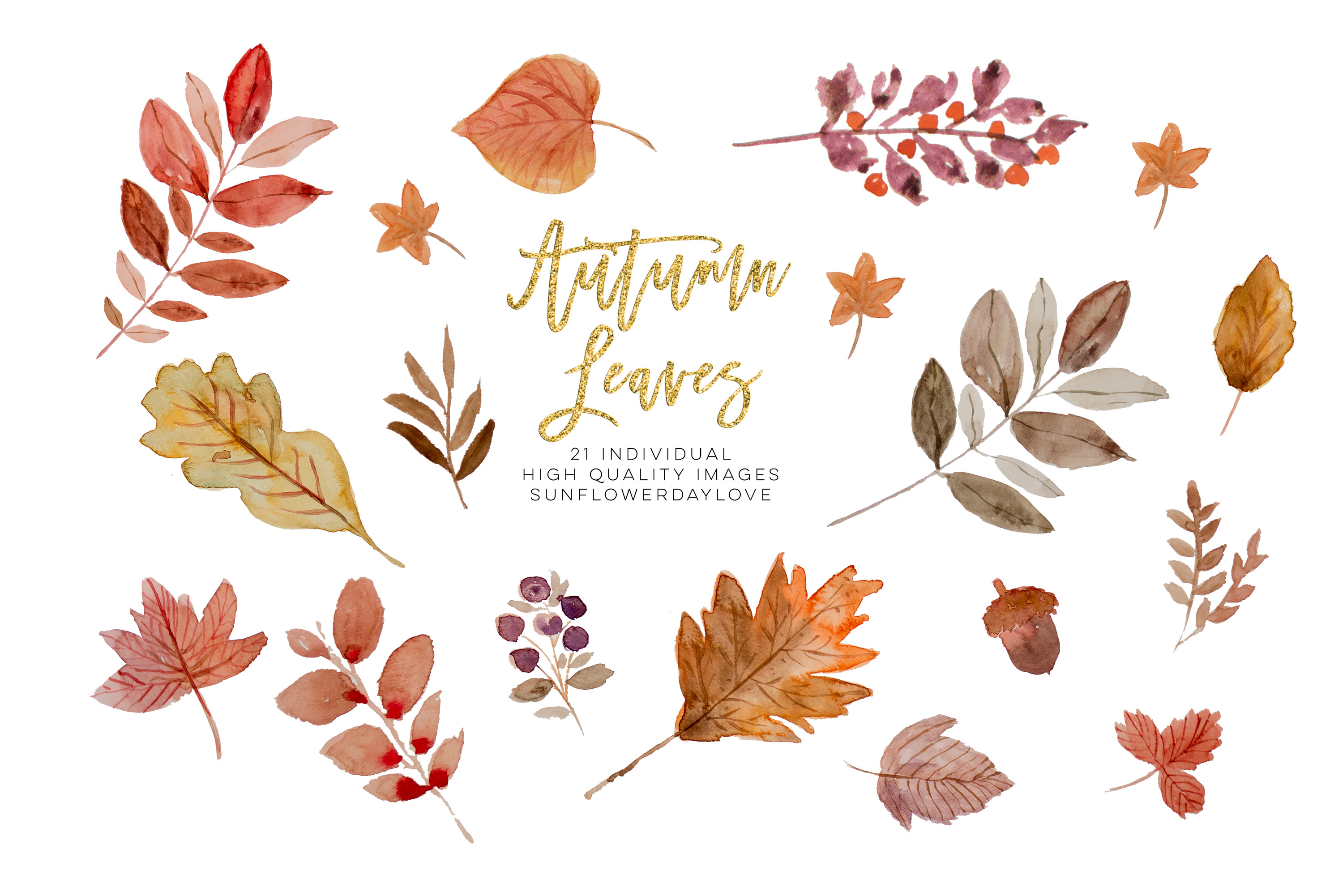 Watercolor autumn leaves ClipArt, an Illustration by Sunflower Day Love