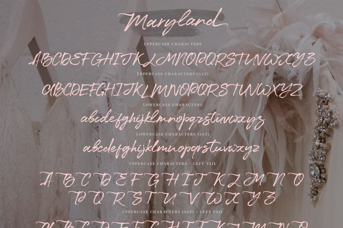 Maryland Wedding Font, a Script Font by Ayya Studio