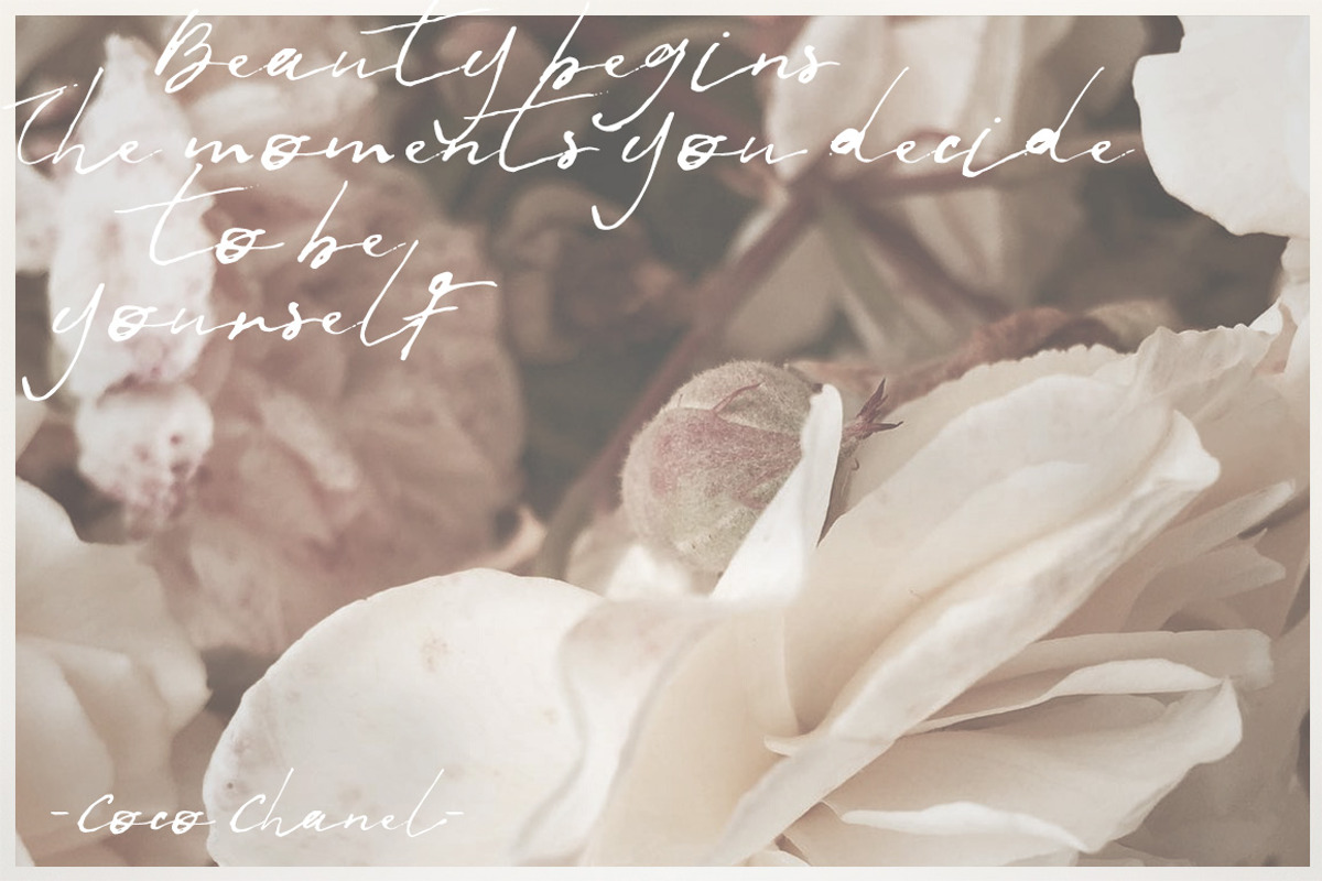 Jenna Jenkins Script, a Script Font by BlueRobinDesignShop