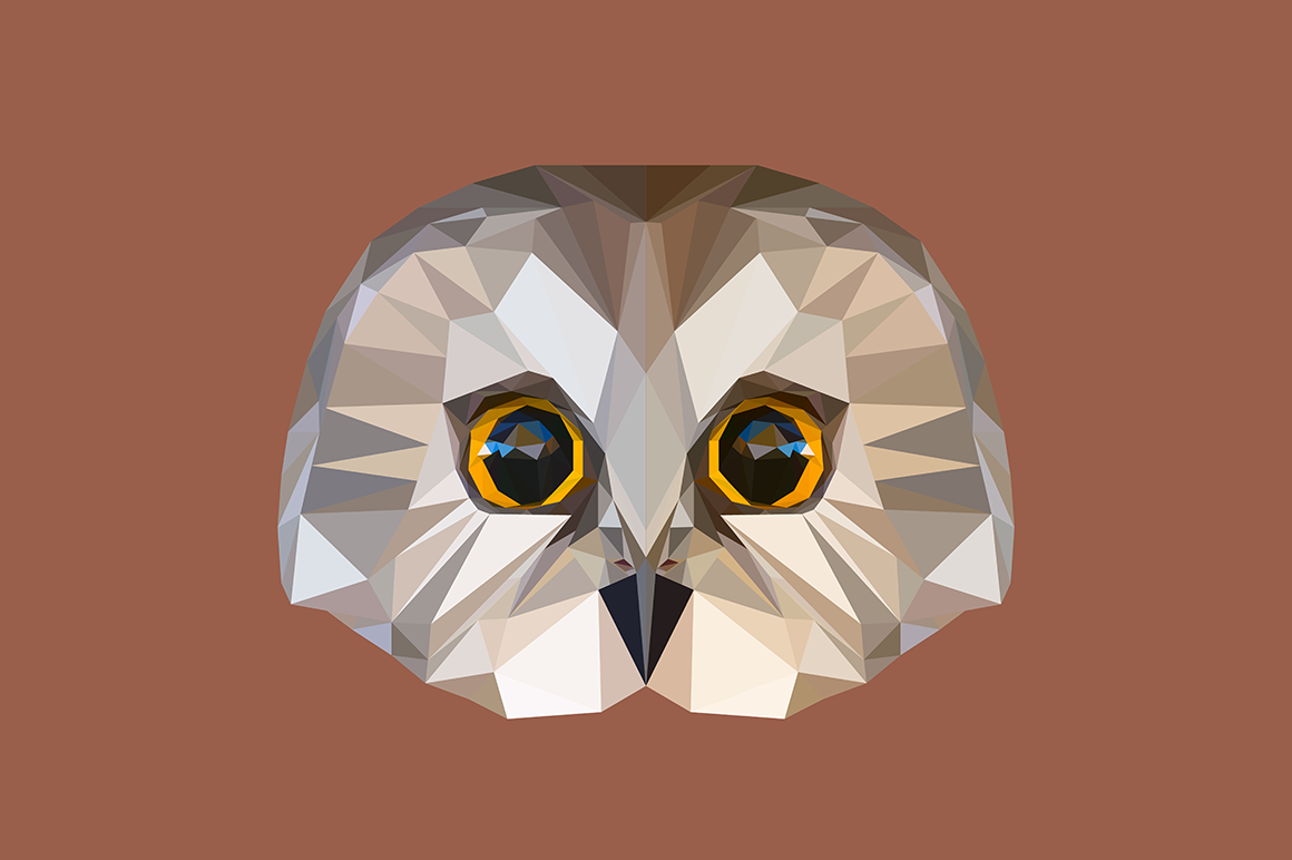Low Poly Owl, an Animal Illustration by Feralchildrenlab