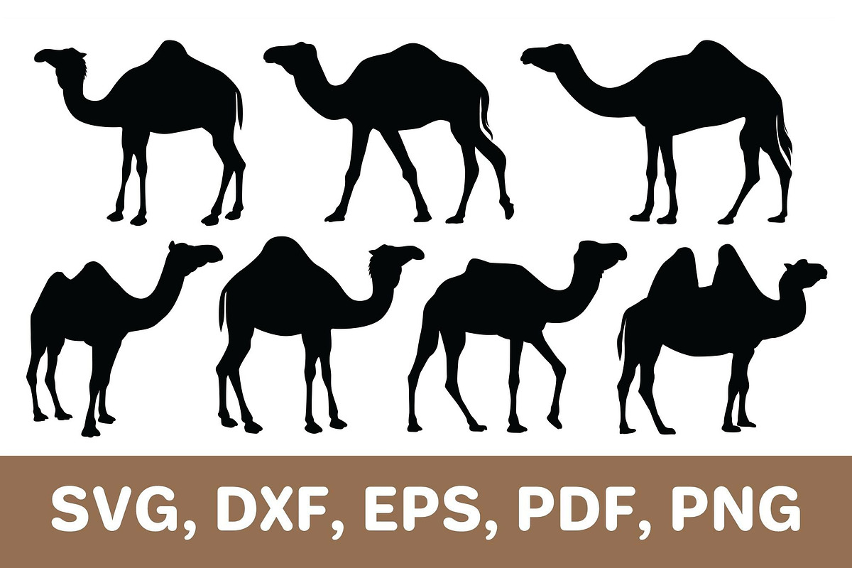 Camel svg cut file, camels clipart | Creative Market