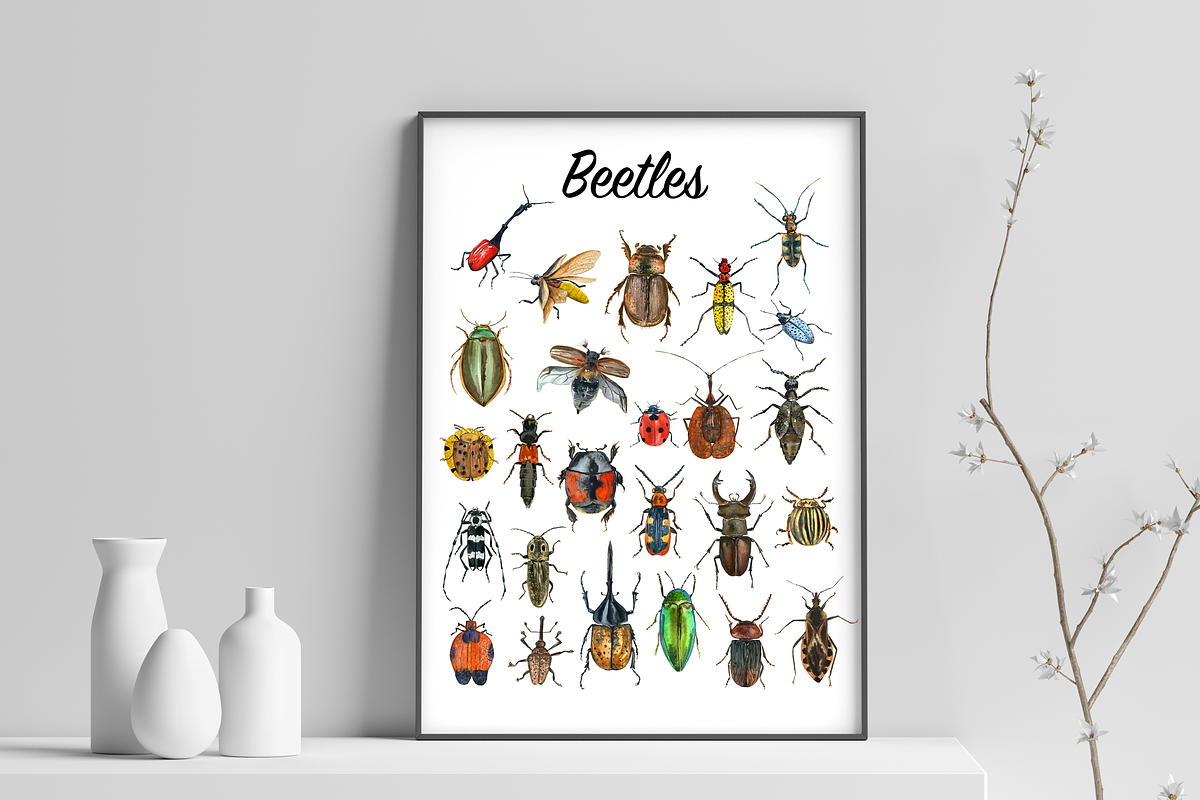 Beetles ABC Posters, an Education Illustration by Tati Bordiu ...