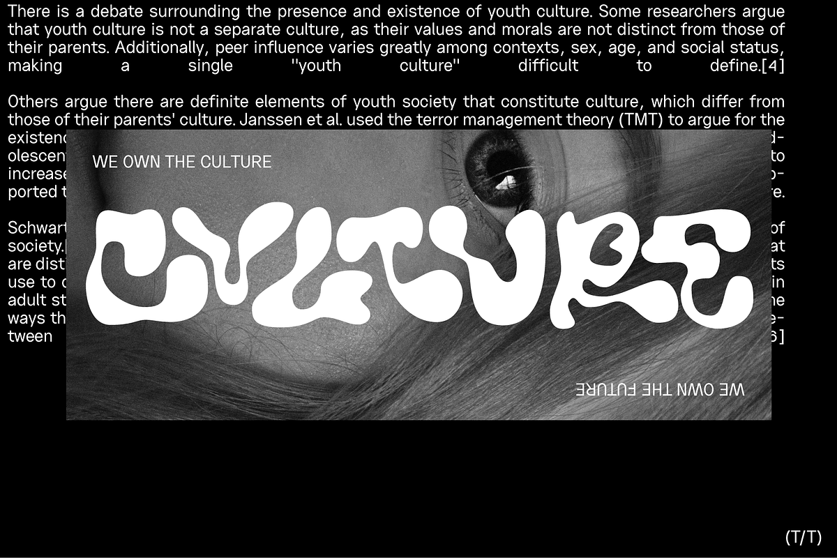 Liquid Type: Wetris Display Font, a Font by That That Creative