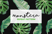 Monstera Leaf Repeat Pattern | Graphic Patterns ~ Creative Market