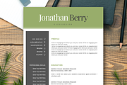 RESUME - CV JONATHAN, a Resume Template by AvenueDesigns