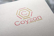 Coyzon | Branding & Logo Templates ~ Creative Market