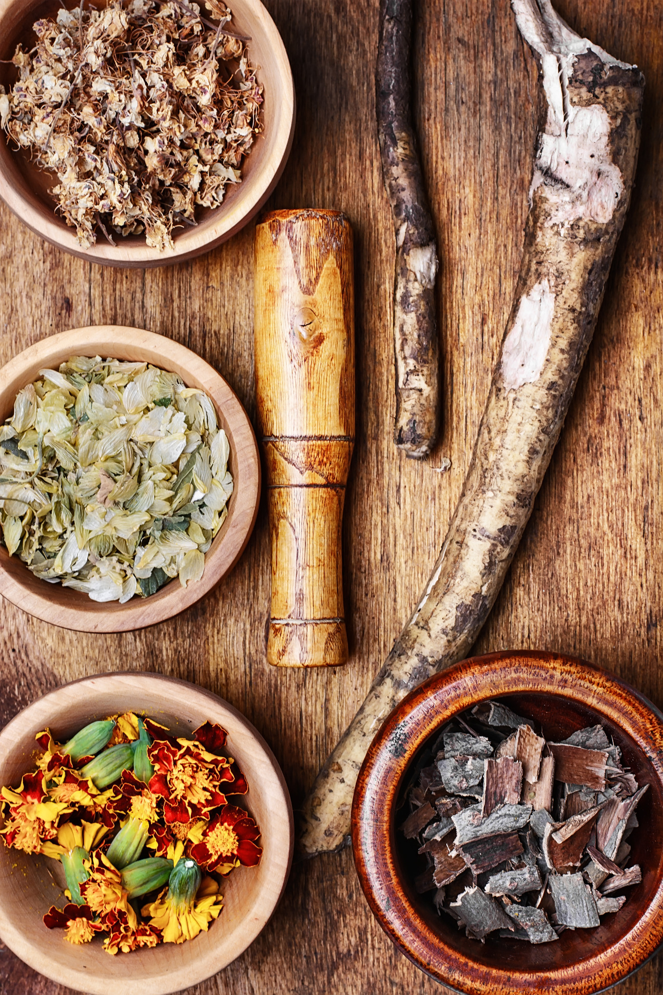 Medicinal plants and roots featuring inula, plant, and medicine, a ...