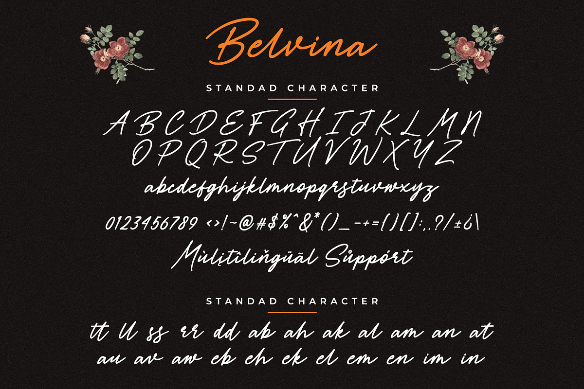 Belvina - a signature script, a Handwritten Font by Beautypes