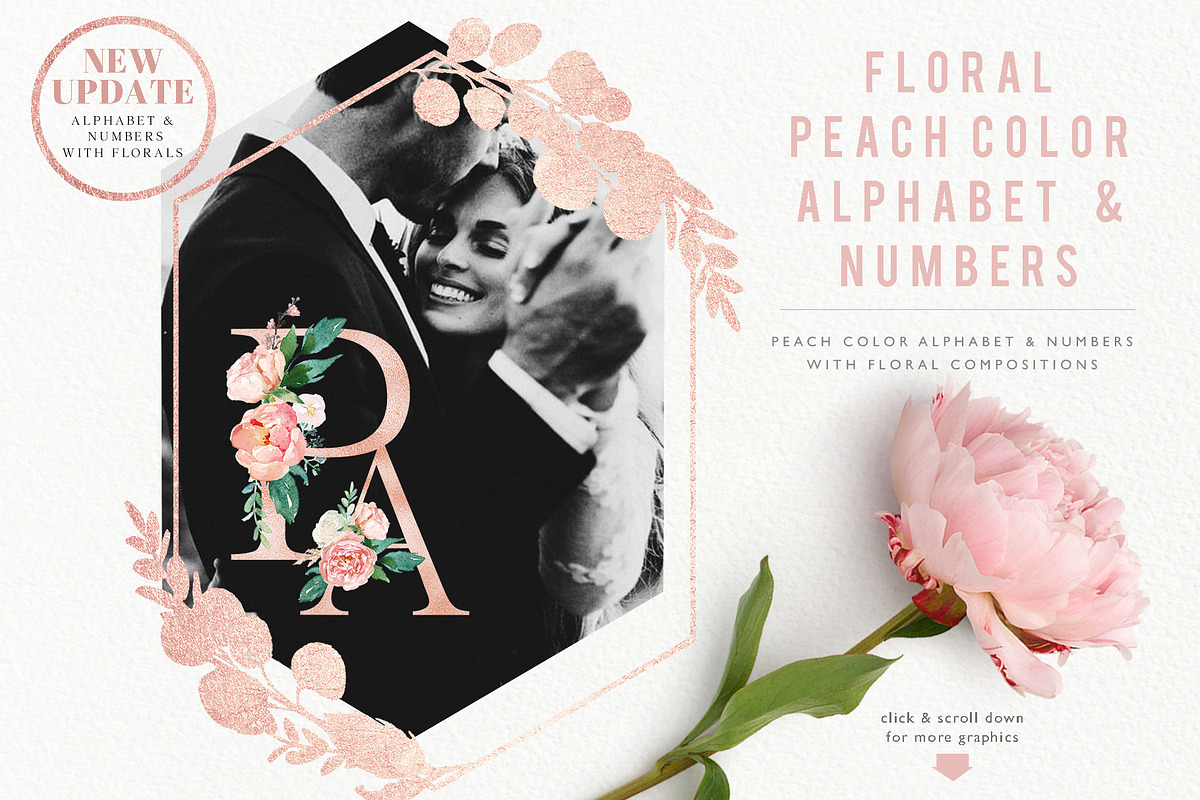 Watercolor Peach Floral Alphabet, a Decorative Illustration by Veris Studio