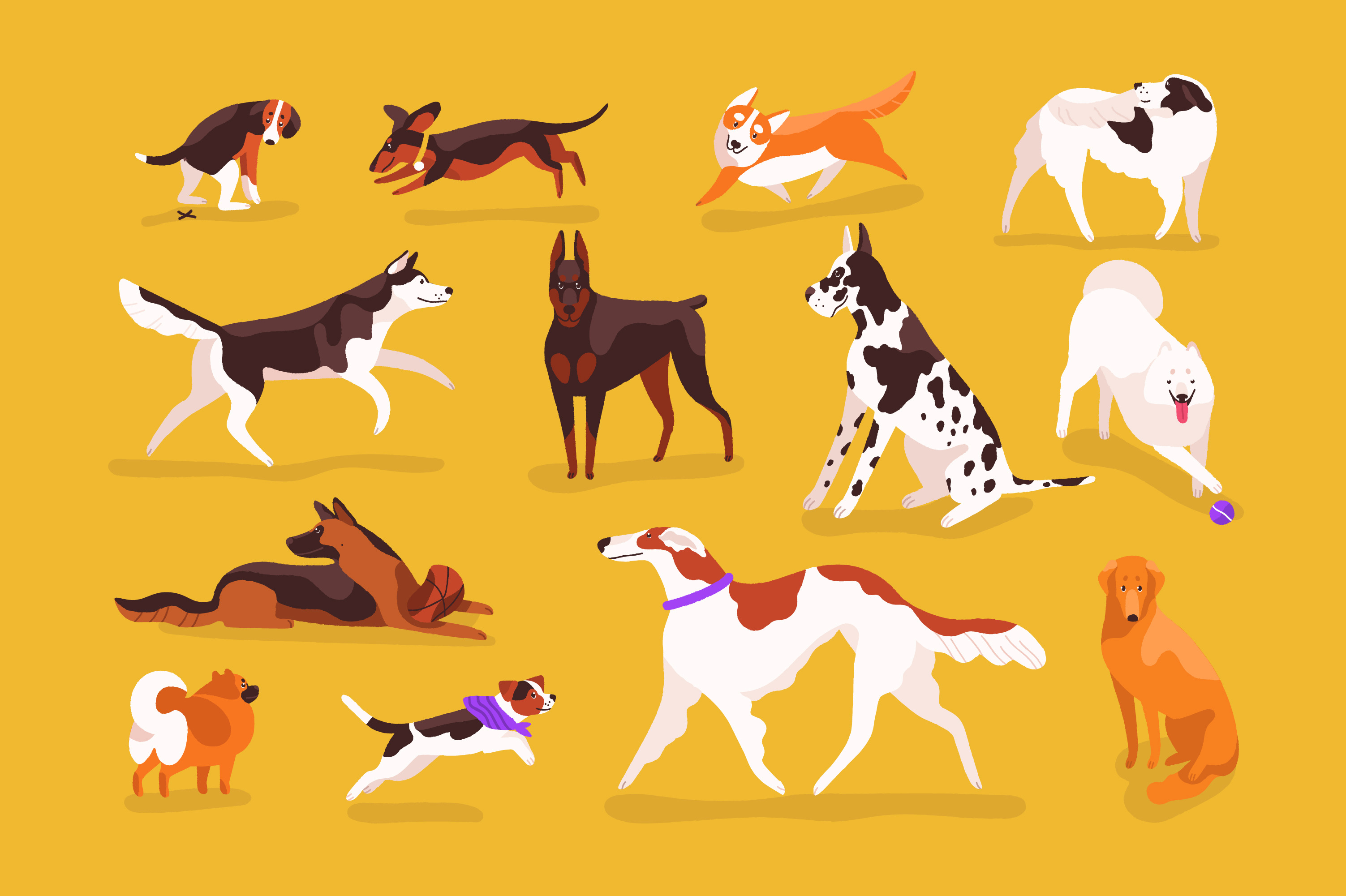 Dogs set, an Animal Illustration by Good Studio
