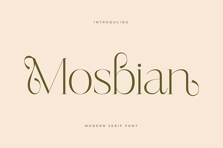Annabel Font | Serif Fonts ~ Creative Market