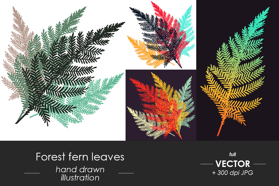 Forest Fern vector illustrations set | Illustrations ~ Creative Market