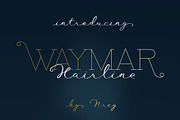 Waymar Hairline, a Serif Font by NREY